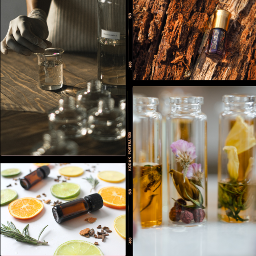 Structure of Perfumery - Be in the Pink